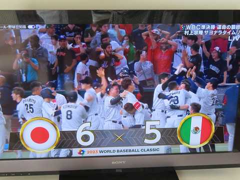 WBC2023 日本xﾒｷｼｺ（TV） | 星とカワセミ好きのブログ - 楽天ブログ