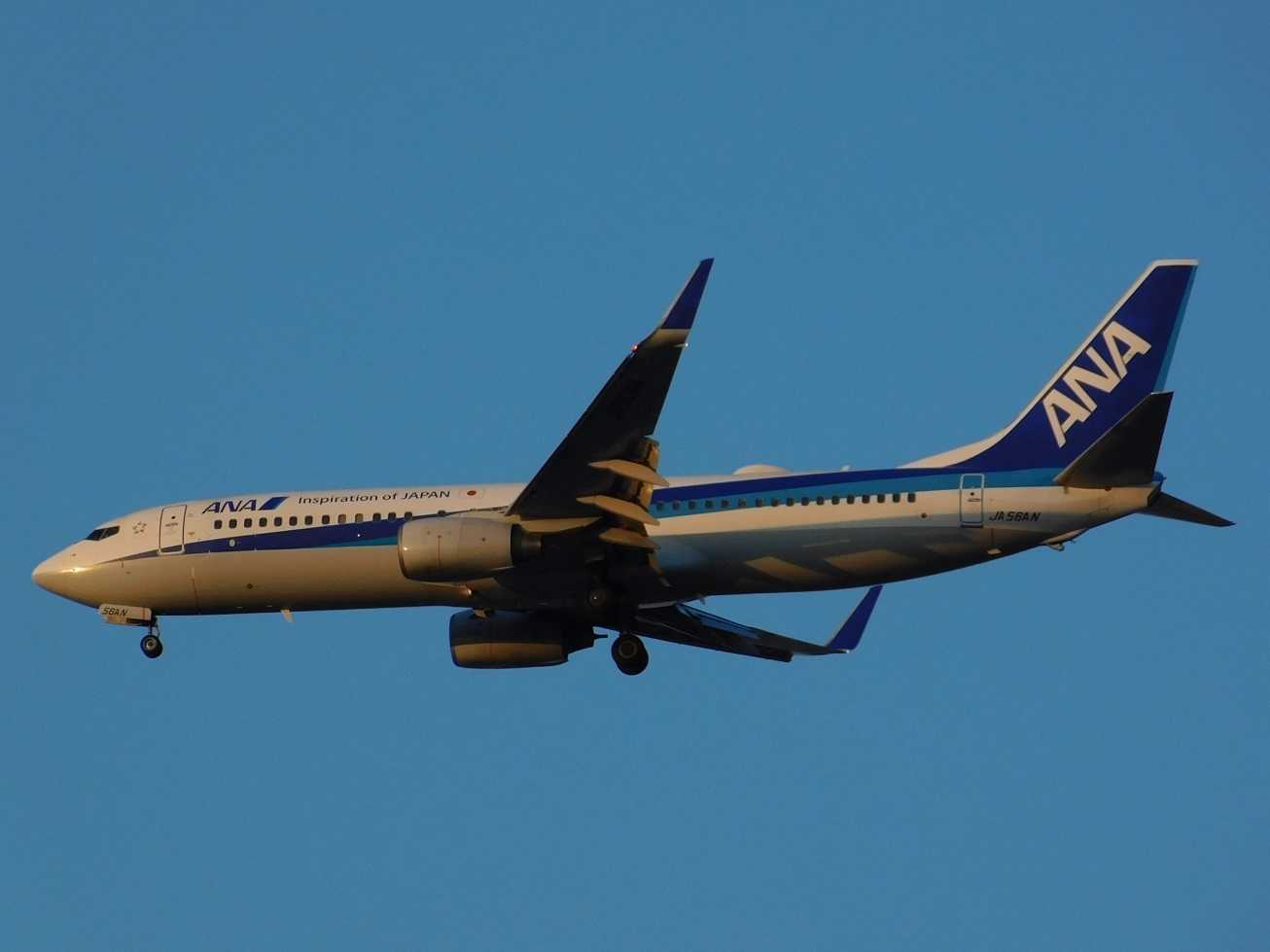 エアバスA350-900、ANA鬼滅の刃塗装機、他 | Welcome to Elizabeth World 趣味を含む撮影日記 - 楽天ブログ