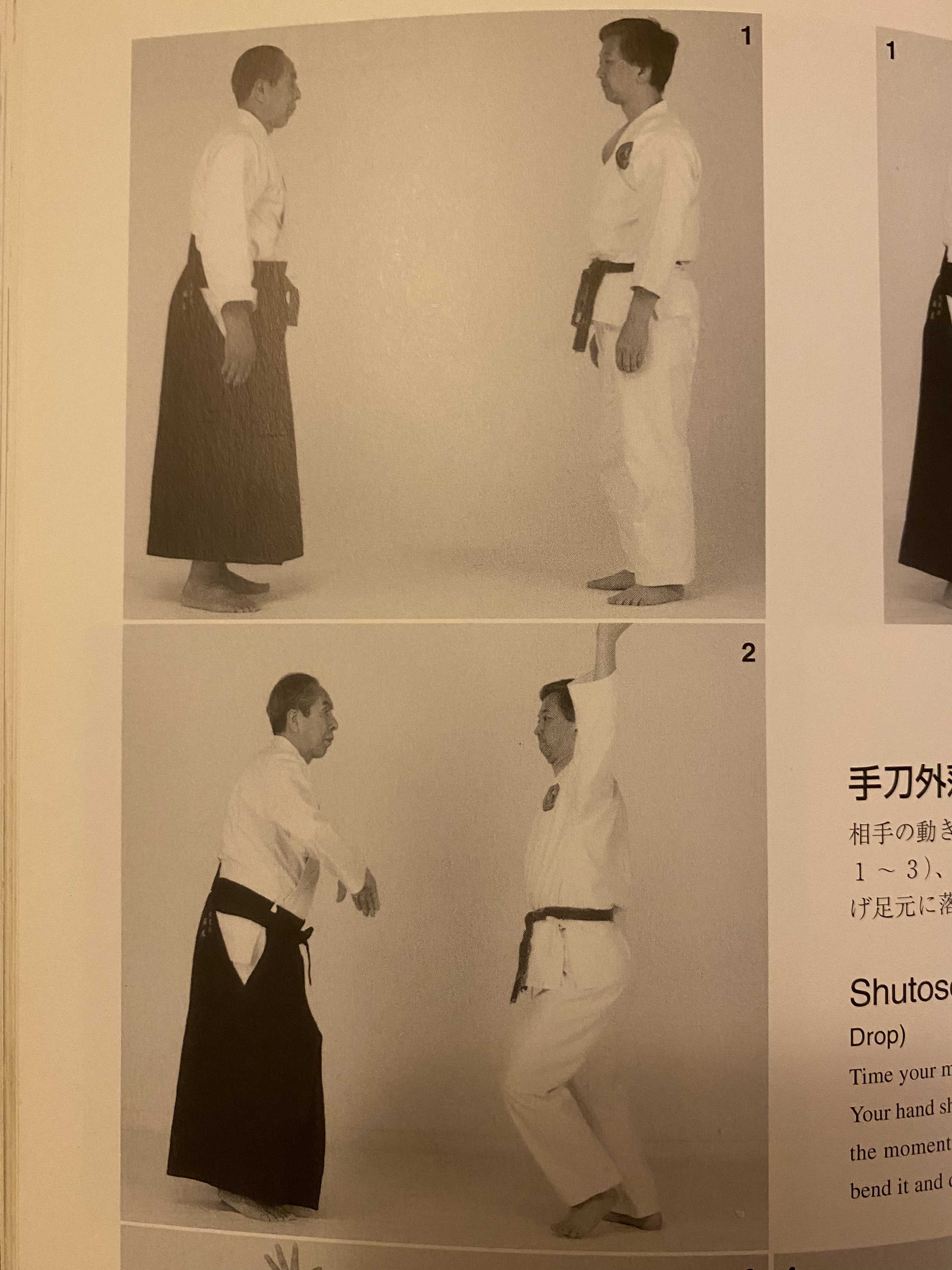 KIHONSHUHOU(Basic Skills) 110 Daitoryu Aikijyujyutsu by Okamoto Seigo ...