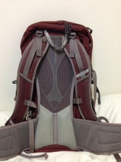 Gregoryグレゴリー Z30 | モダンの広く浅いブログ - 楽天ブログ