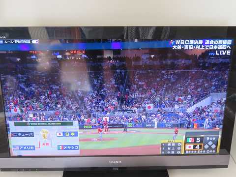 WBC2023 日本xﾒｷｼｺ（TV） | 星とカワセミ好きのブログ - 楽天ブログ