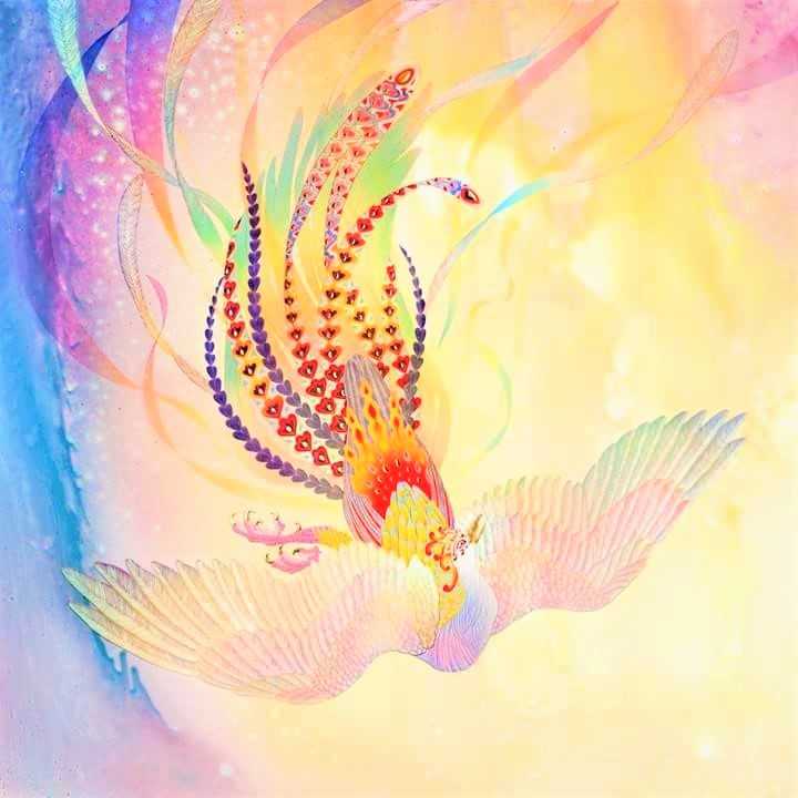 I believe in love. The phoenix will rise again and again. | みゅうにゃん お散歩 ...