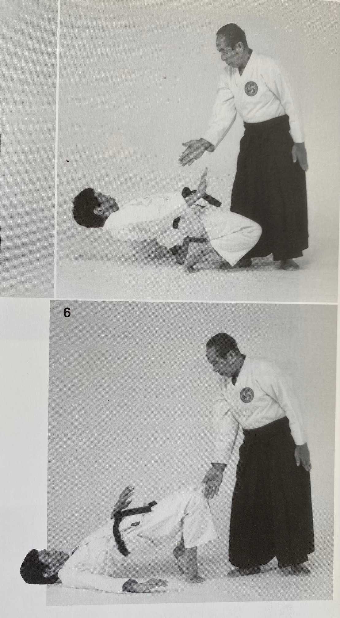 KIHONSHUHOU(Basic Skills) 136 Daitoryu Aikijyujyutsu by Okamoto Seigo ...