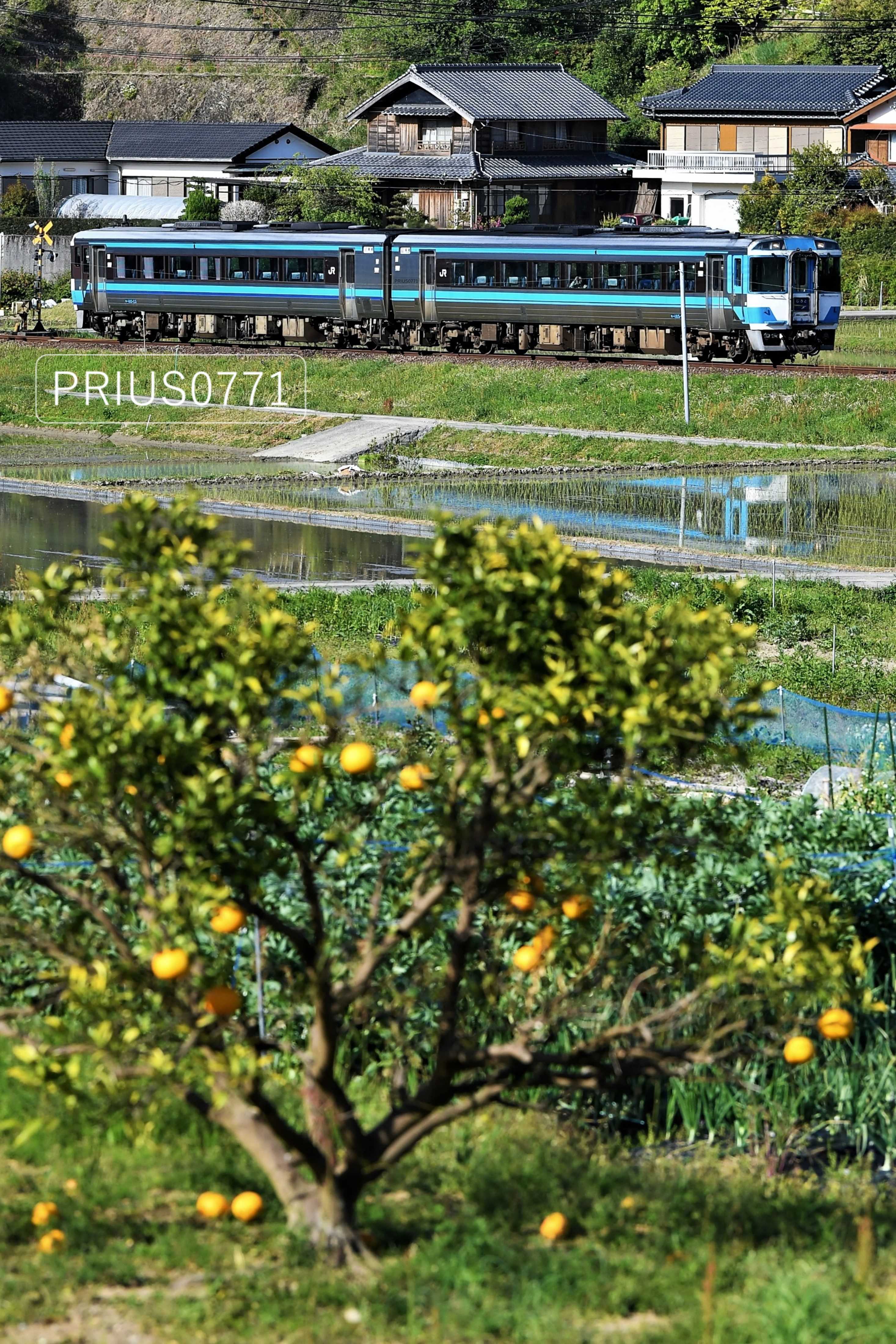 【撮影地情報リニューアル】牟岐線撮影地 ～その1～ | prius0771のブログ（楽天版） - 楽天ブログ