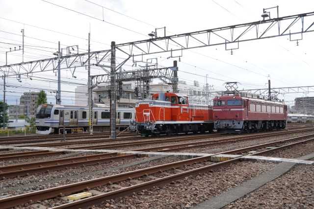 #EF81 81 & DE10 1752 & EF210-344牽引 鹿島貨物並び | 鉄人騎士。鉄 パワーランド(*^ω^*) - 楽天ブログ