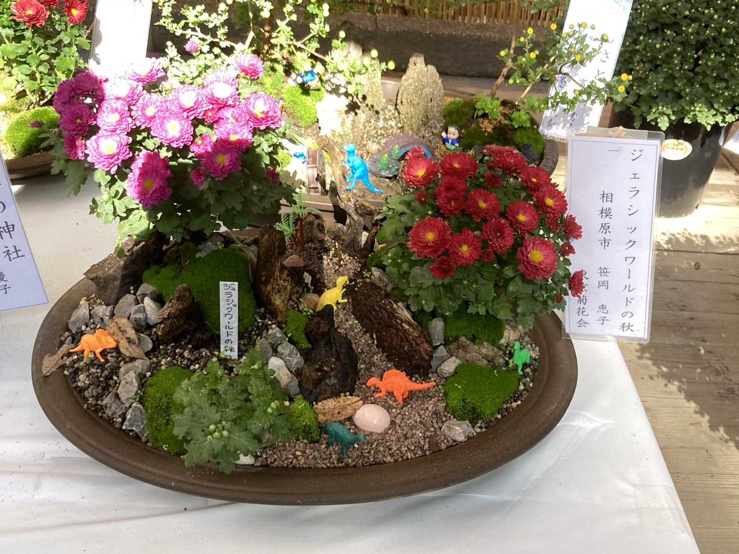 明治神宮菊花展（11/03友人Sさんが撮影）北海道産北あかりのじゃが芋を茹でる | 01031006junのブログ