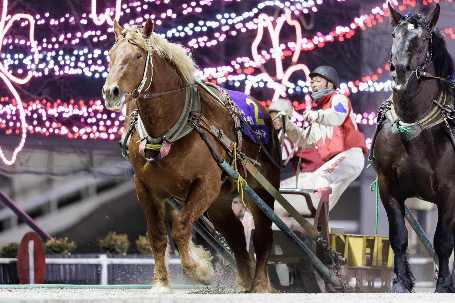 ばんば牧場便り【 Vol.053 】2022年度優良重種馬の表彰式典 | ばんブロ（ばんえいスタジオのブログ） - 楽天ブログ