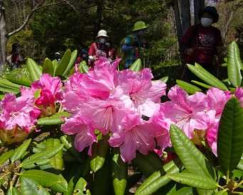 ノルディックウォーキングクラブ青梅 - 楽天ブログ