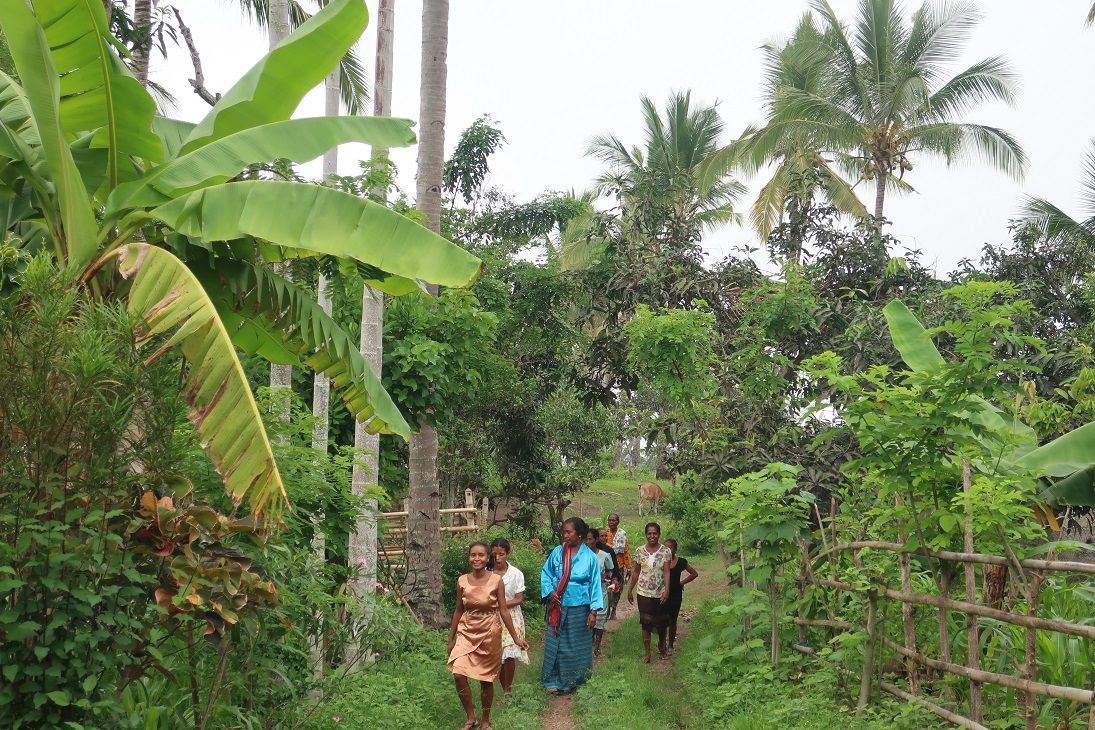 はじめてのLoidahar村 | Tropical East Timor ワニ通信 東ティモール - 楽天ブログ