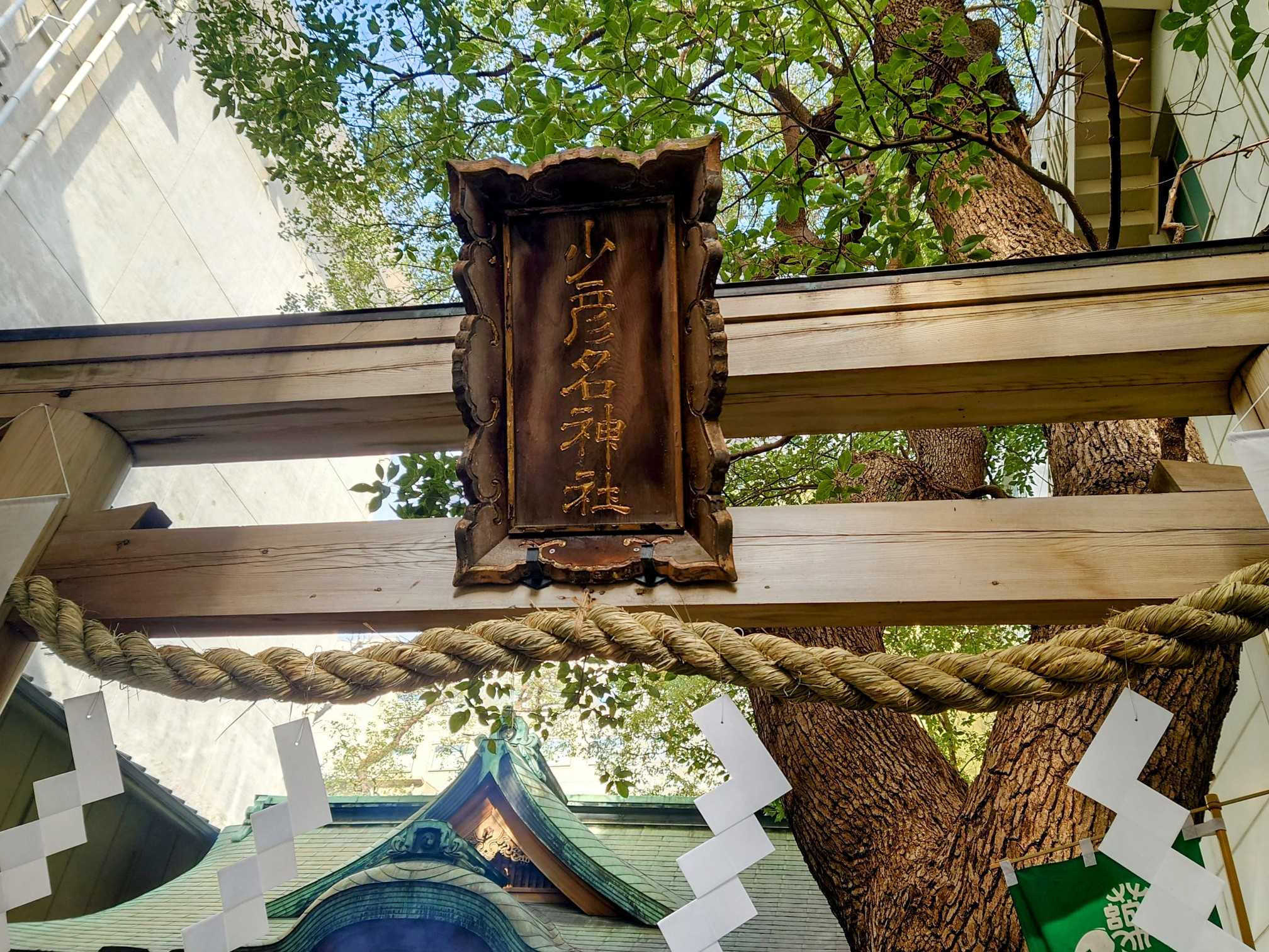 2023年新春・初旅 ～ 2日目（1） | Ideal Life - 楽天ブログ