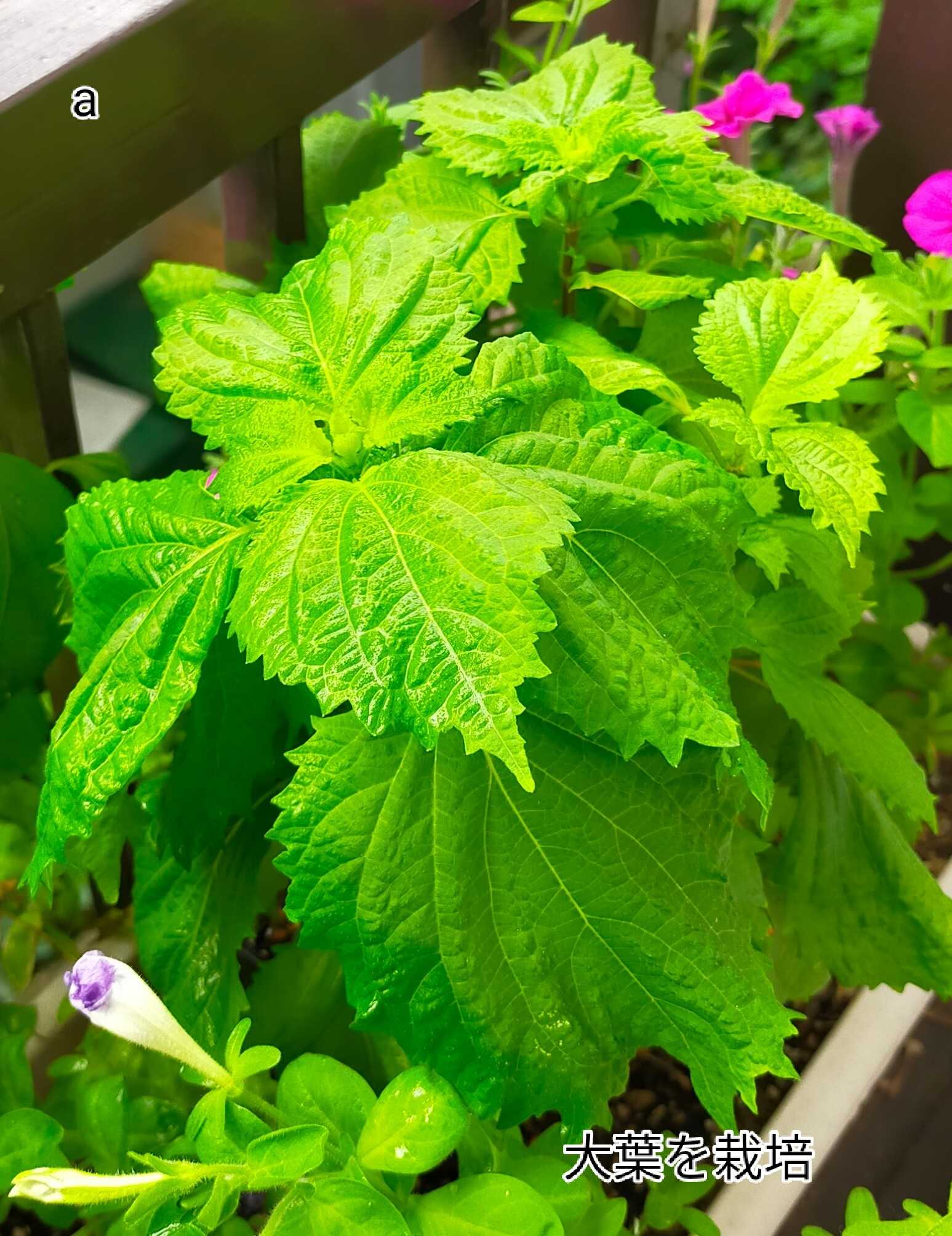 01031006junのブログ