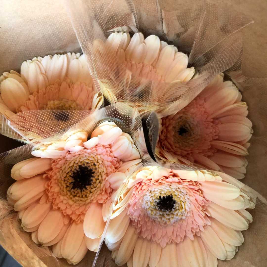 御代田町GATE Flower fieldお花屋さん | 野原に咲くhimawariブログ - 楽天ブログ