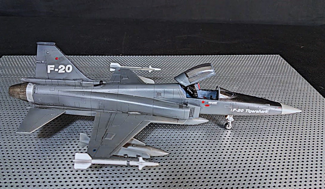 1/72 F-20タイガーシャーク 3 完成 | Dog's Room - 楽天ブログ