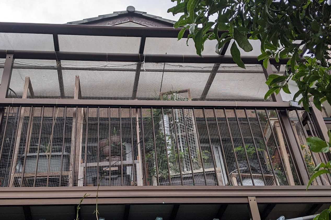 野菜は自宅で自給自足しています | ぐり～んおあしす (Oniwa cafe) - 楽天ブログ