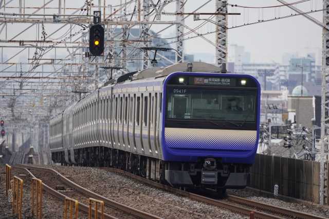 #E217系 & E235系 & E259系 総武快速線 | 鉄人騎士。鉄 パワーランド(*^ω^*) - 楽天ブログ