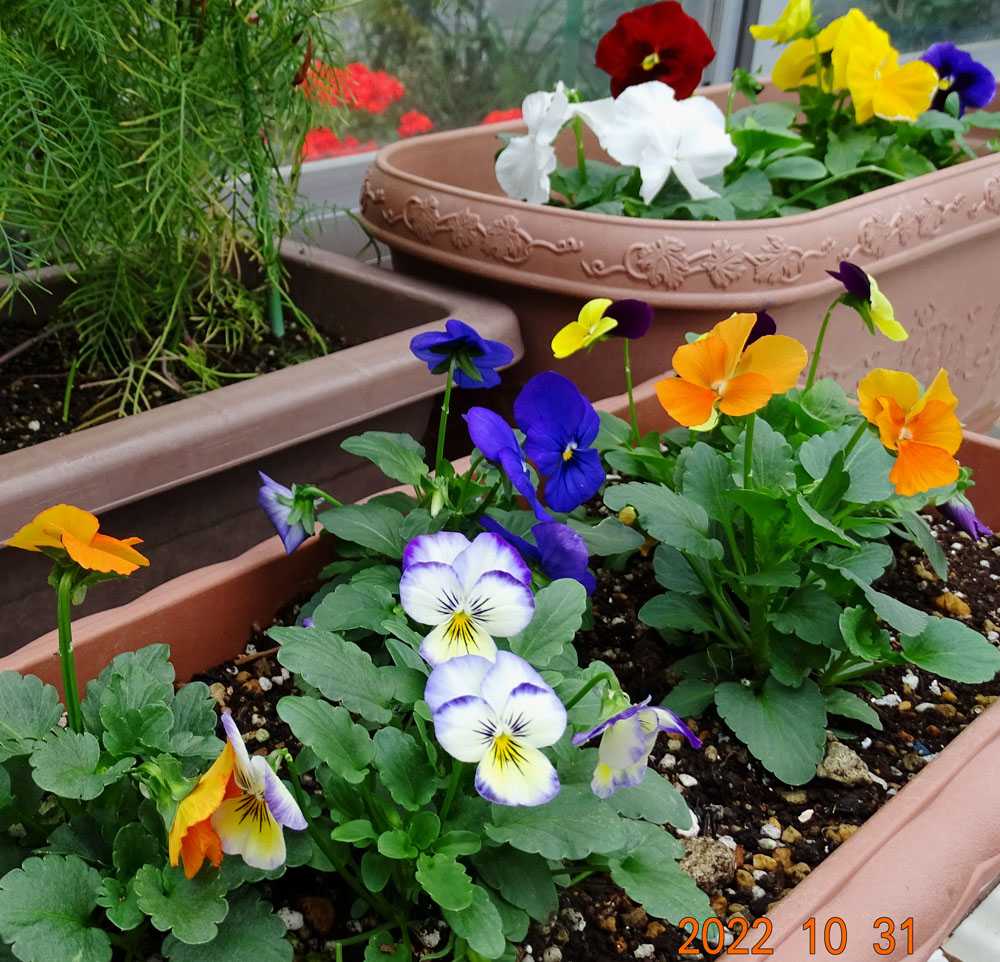 今日は寒いね。 | tominopage - 楽天ブログ