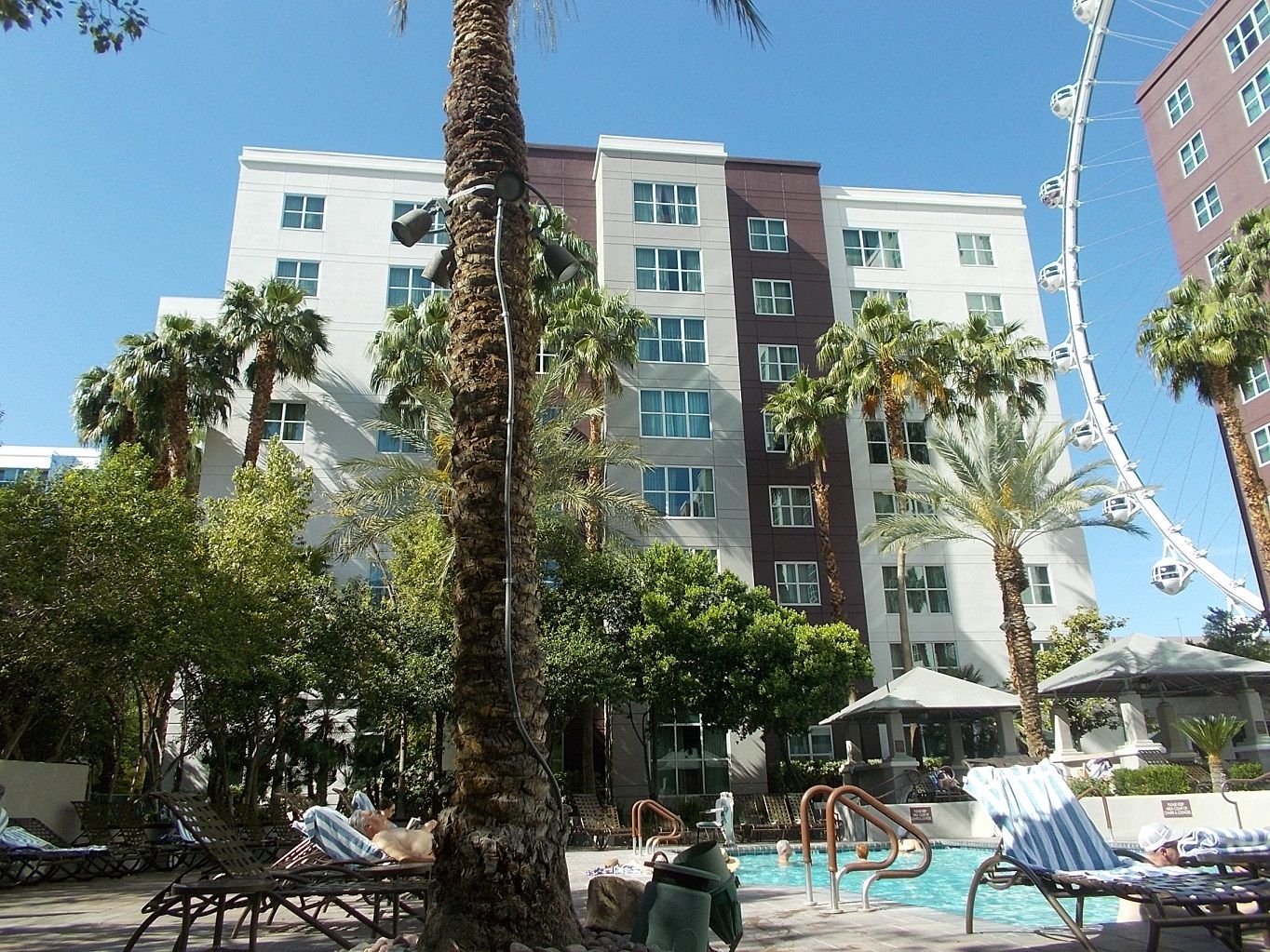 HGVC ヒルトン グランド バケーション クラブ フラミンゴホテル プール＆中庭通路 | ラスベガス ロサンゼルスの旅 - 楽天ブログ