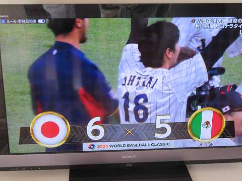 WBC2023 日本xﾒｷｼｺ（TV） | 星とカワセミ好きのブログ - 楽天ブログ