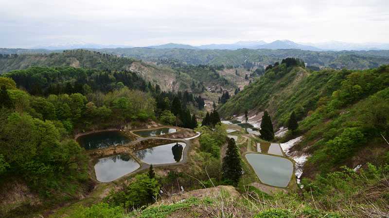 壁紙 2022年6月版 | 夜空を見上げるブログ - 楽天ブログ