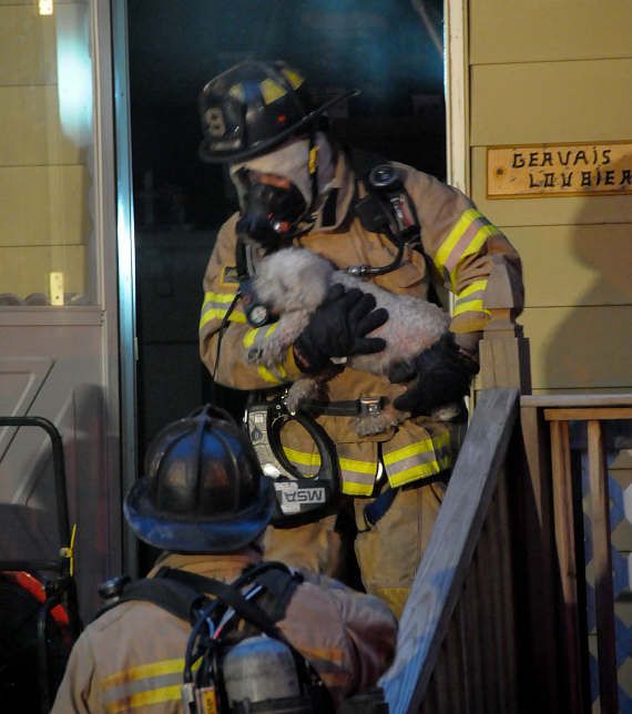 Weekly STL- Streamlight , Reboot+ Vol.209 - Streamlight Survivor® Right ...