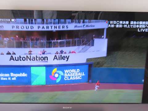 WBC2023 日本xﾒｷｼｺ（TV） | 星とカワセミ好きのブログ - 楽天ブログ