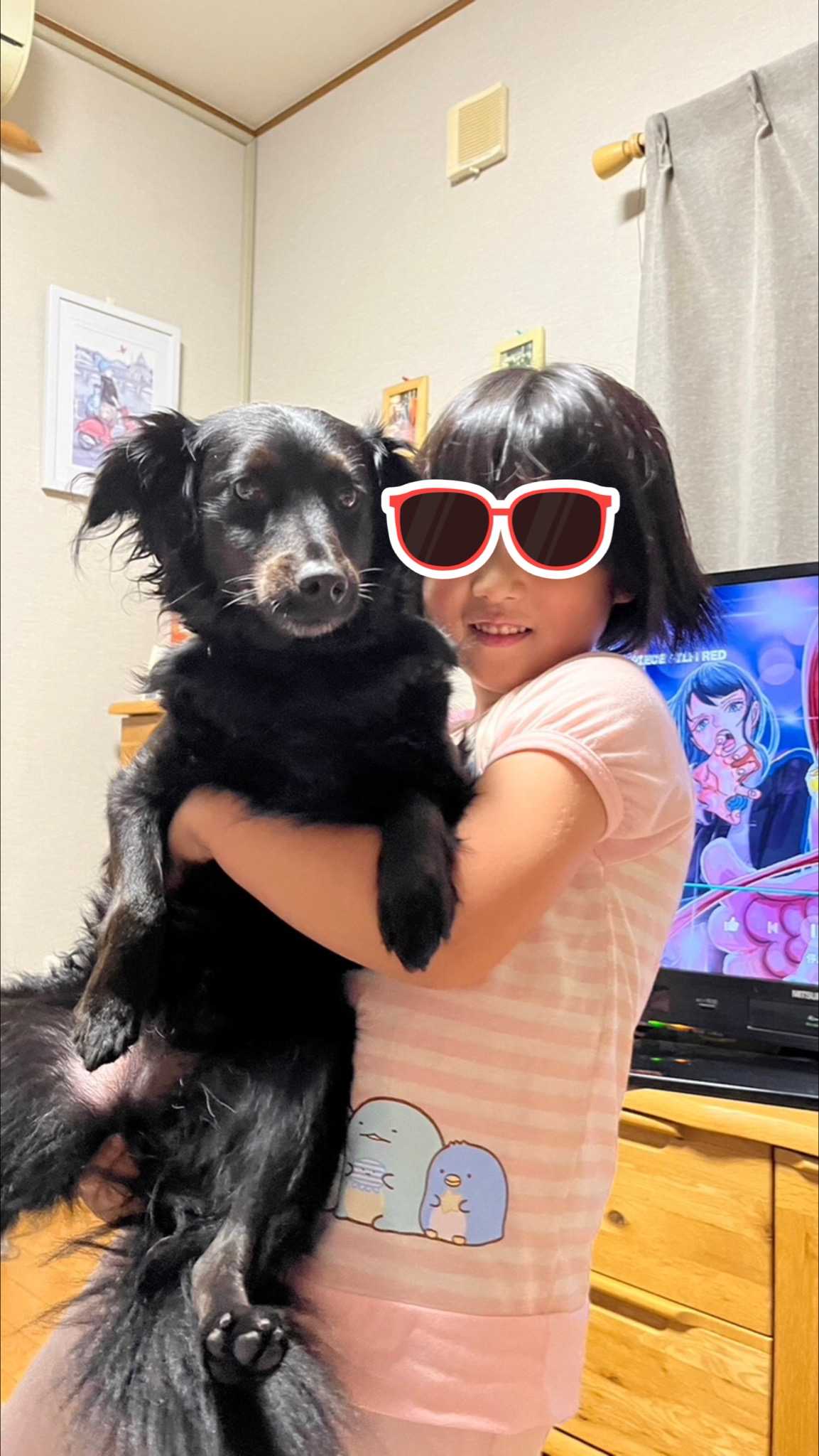 梅雨入り | mocoとharryとnikkiとnicoとlakiの HAPPY everyday - 楽天ブログ