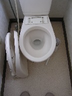 イレギュラーなトイレ掃除。 | 整える。 - 楽天ブログ