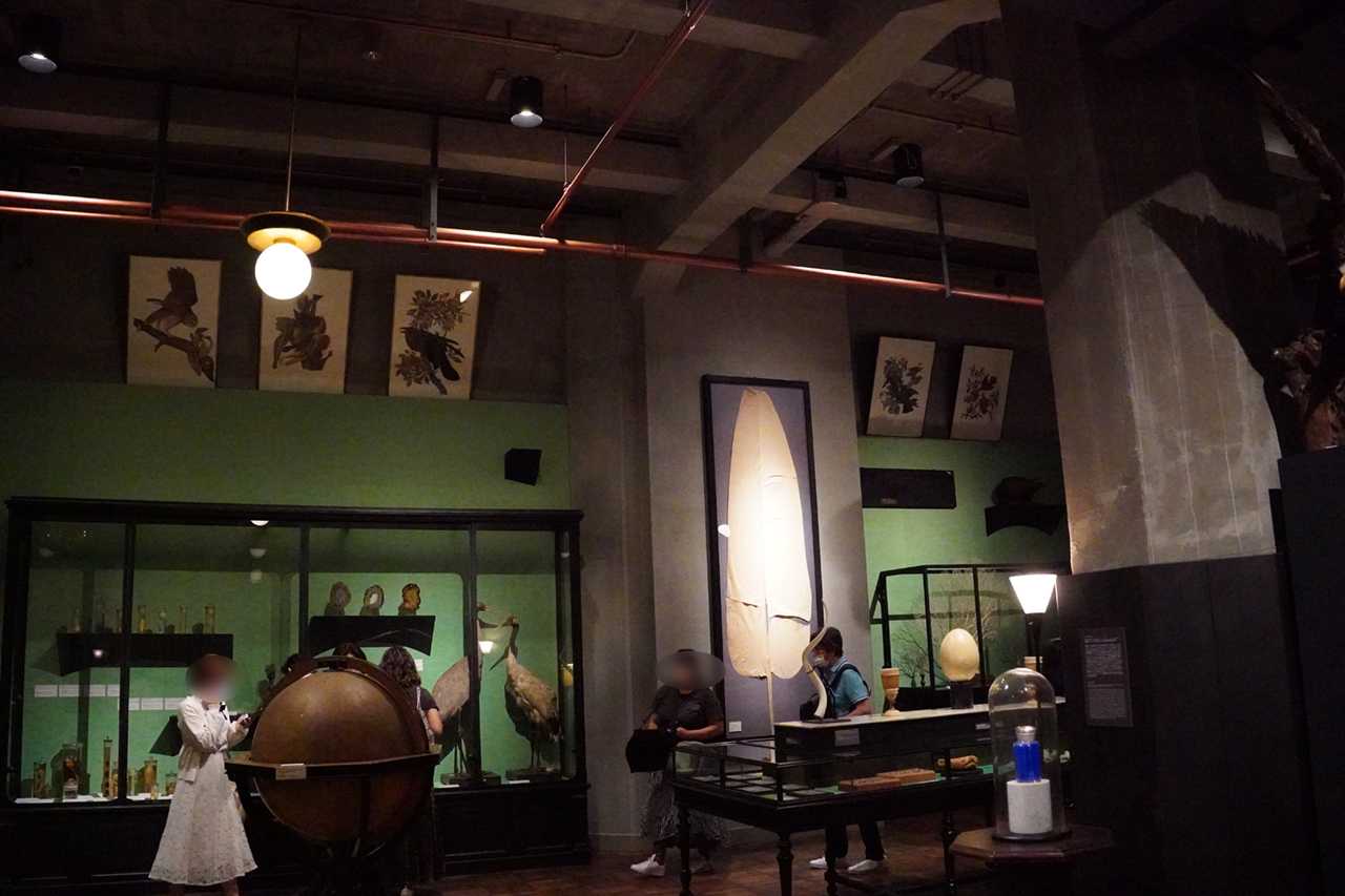 東京駅 KITTE インターメディアテク (無料の博物館） | イルカカメラとわんわんWinとねこMac - 楽天ブログ