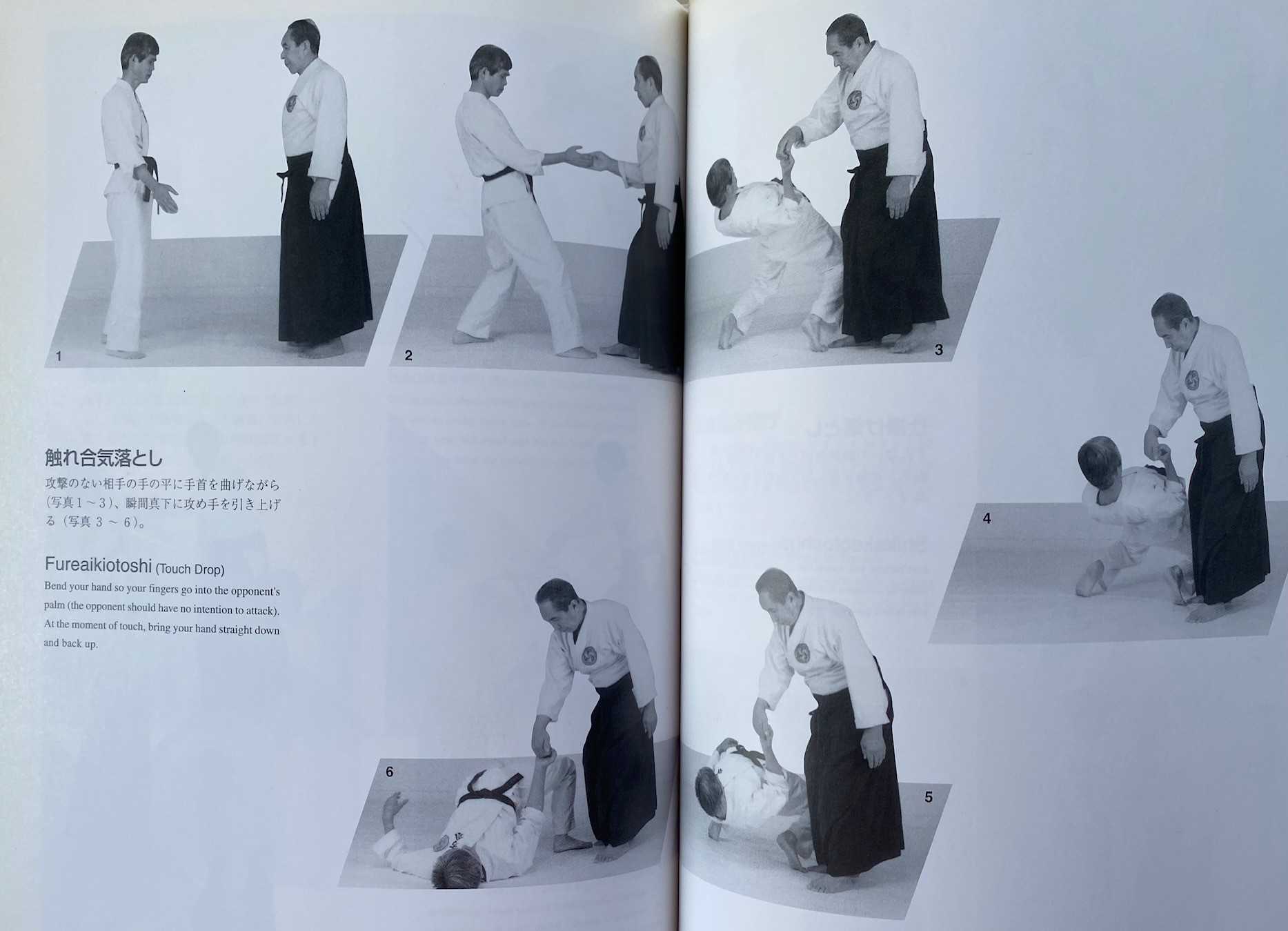 KIHONSHUHOU(Basic Skills) 131 Daitoryu Aikijyujyutsu by Okamoto Seigo ...