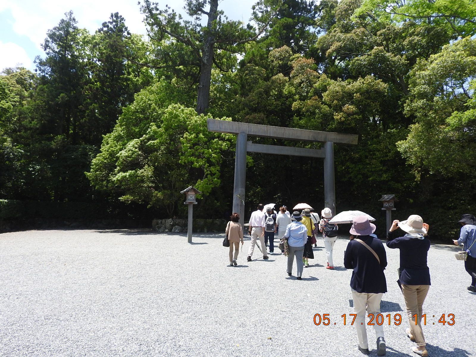 因果応報 | ヘイフリックの限界part2 - 楽天ブログ