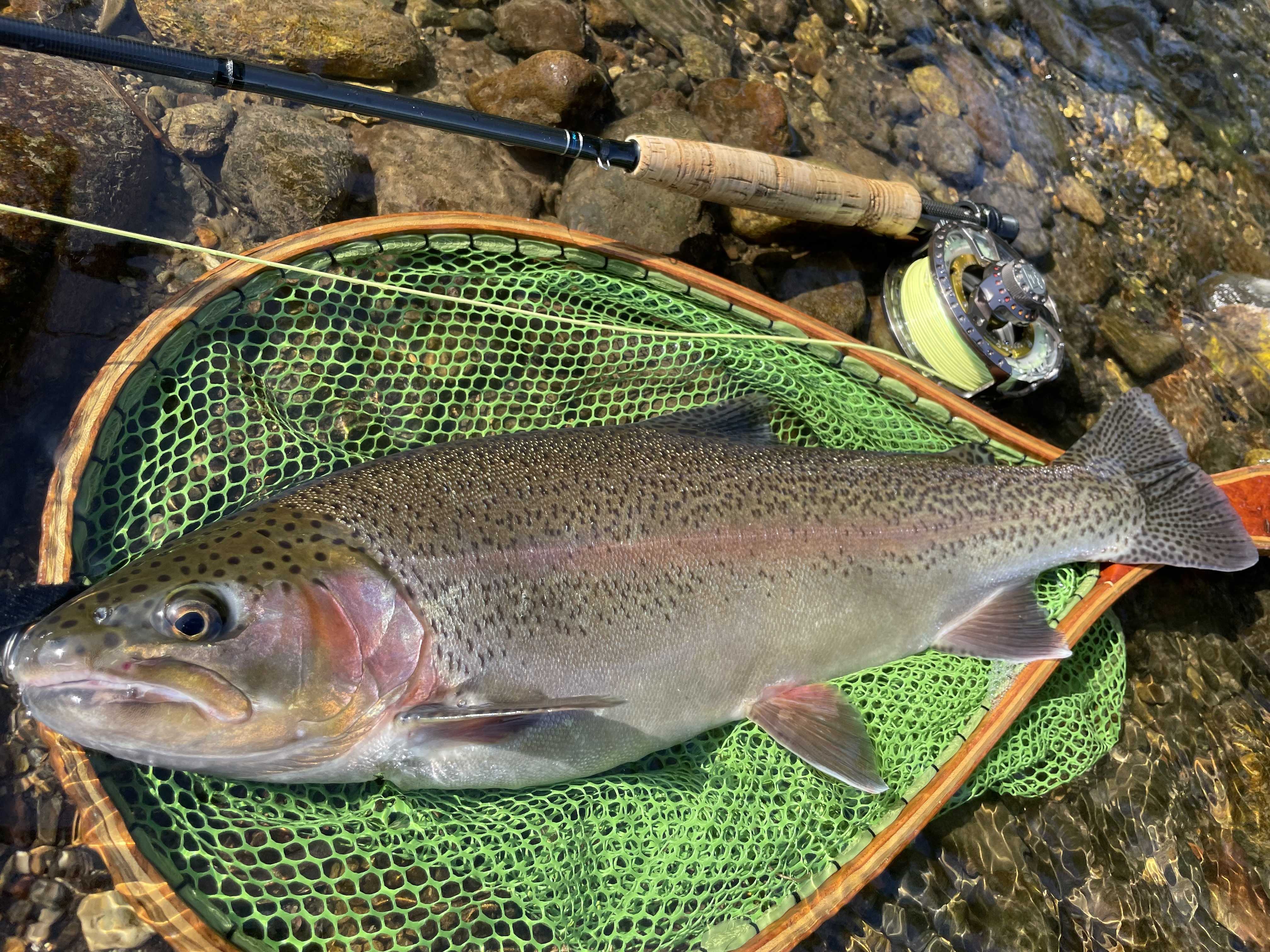 9/12 秋の50upは別格 | flyfisher J の I LOVE 虹鱒 in 道東オホーツク - 楽天ブログ