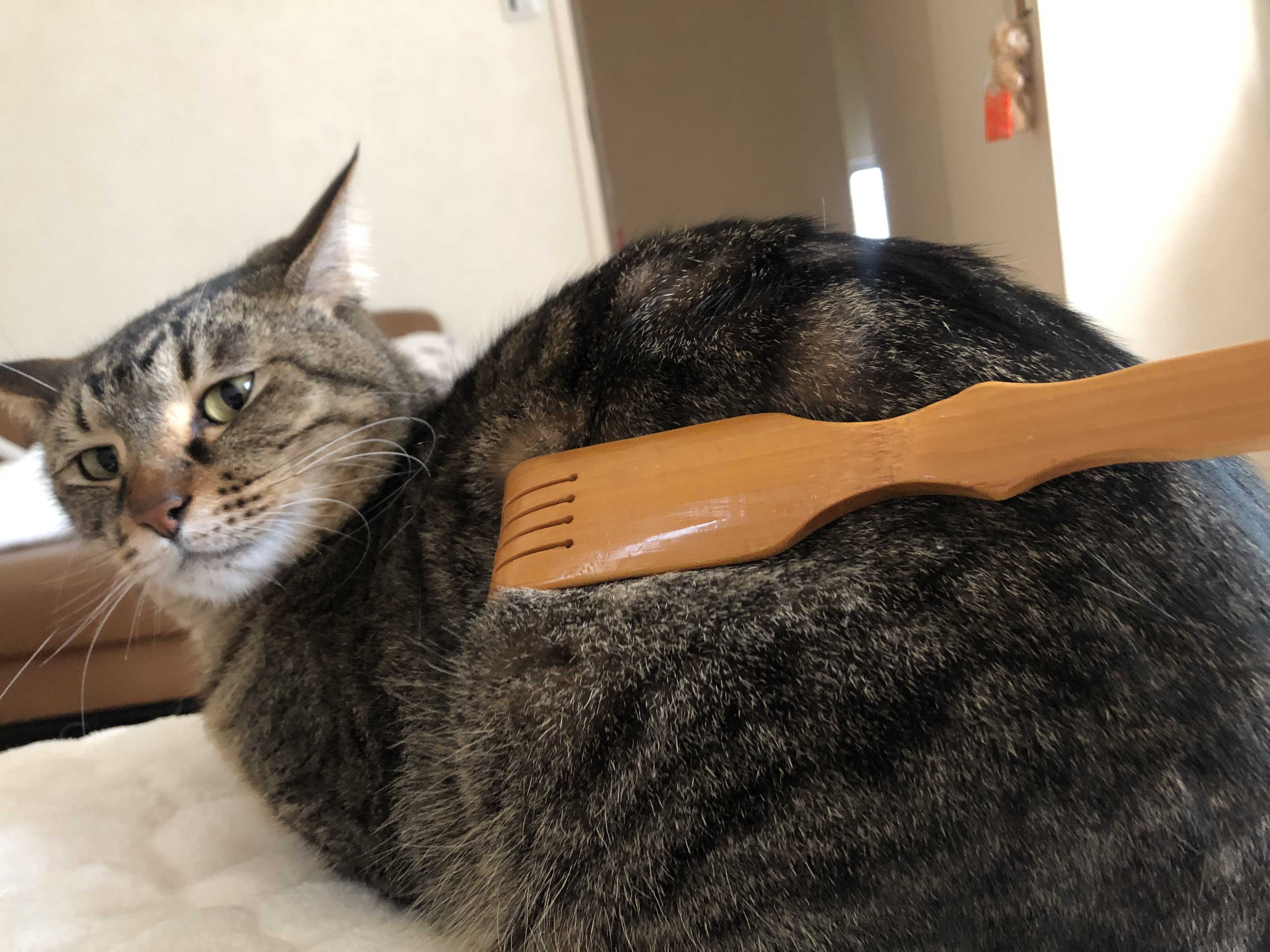 gmgmgm | mdcsmilelifeのブログ - 楽天ブログ