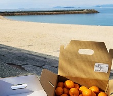 「道の駅ふたみのお正月もイベント」です －new year event in Iyo-city－ | えひめグリーン・ツーリズムサポート ...