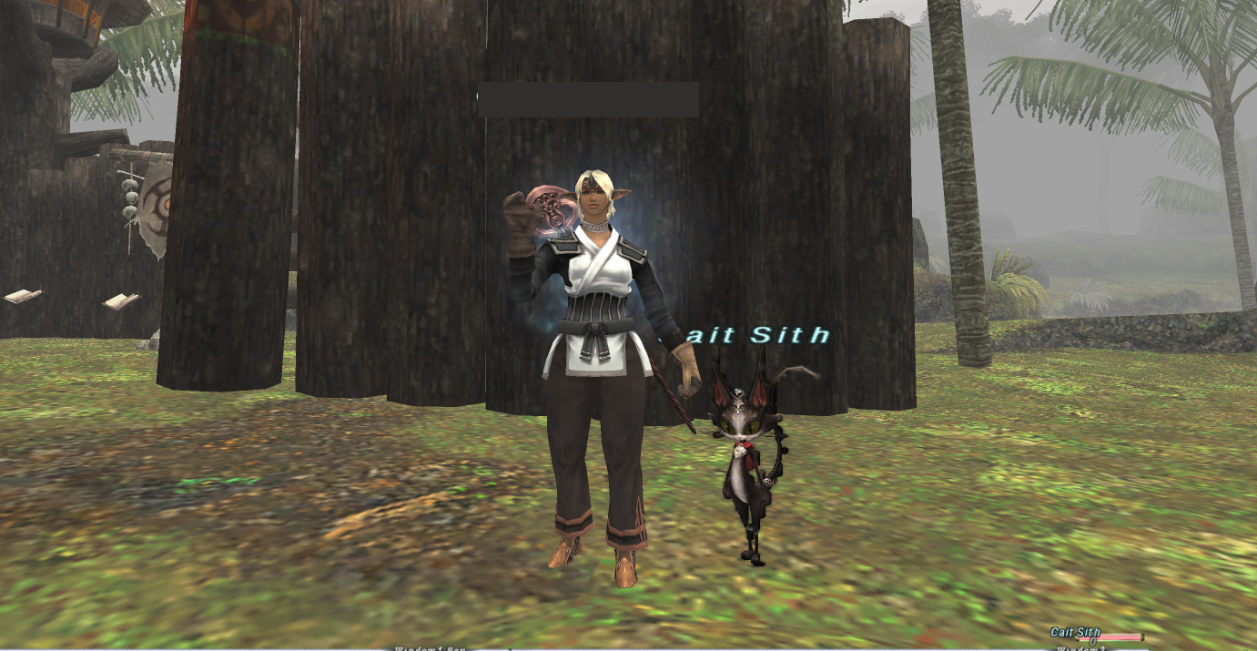 あお色もやもやへの道・完（ニルヴァーナ） | FF11復帰者のこっそり活動日誌 - 楽天ブログ