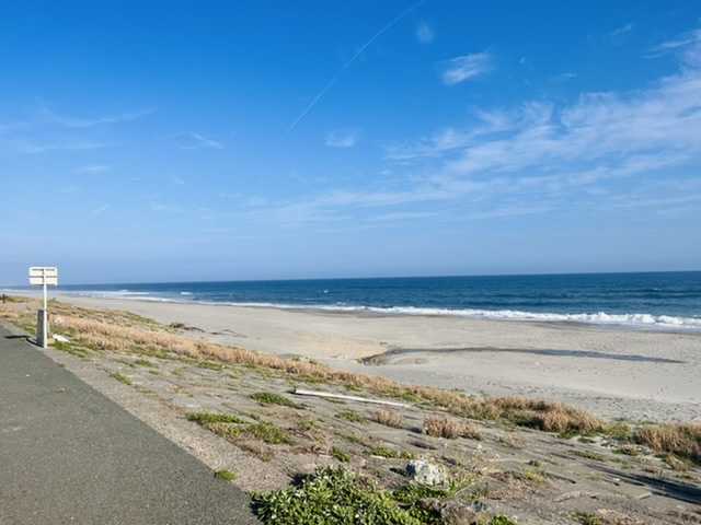 やれいけ浜名湖 | ちんぐりの日々 - 楽天ブログ