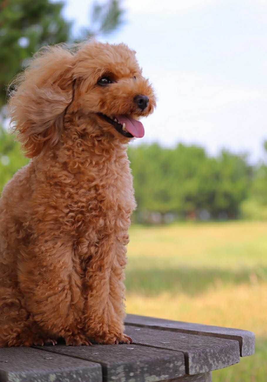 月見が丘公園 | フィーラちょこっとページ - 楽天ブログ