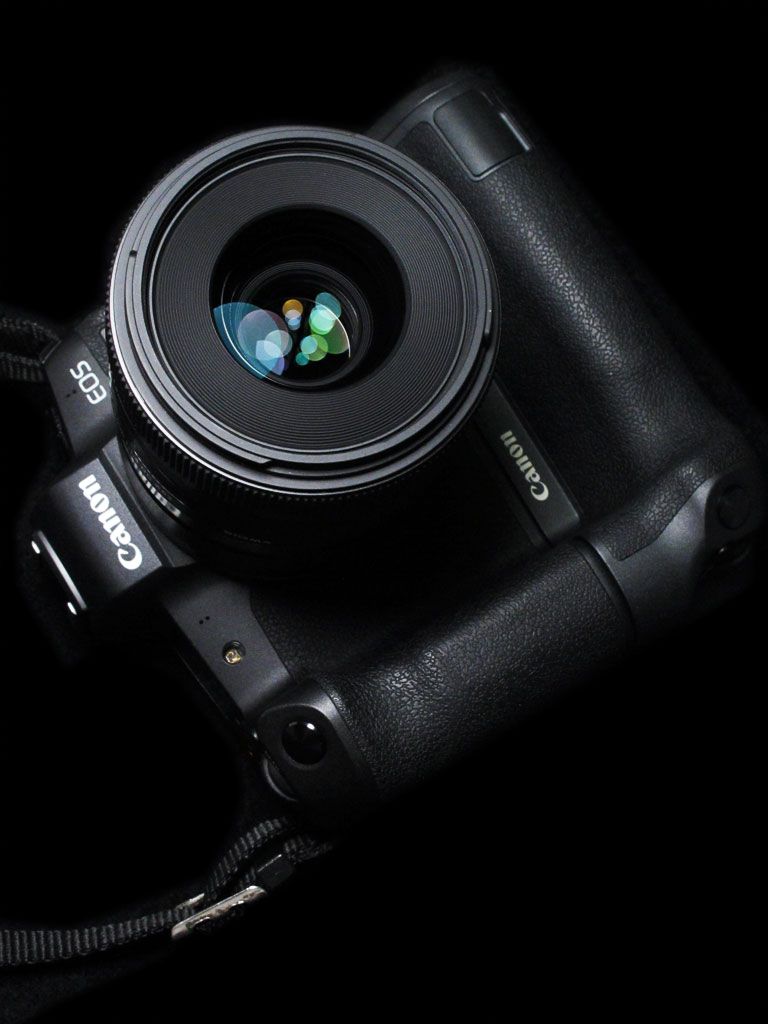 キヤノン バッテリーグリップ BG-E22 | かめらぶろぐ - 楽天ブログ キヤノン バッテリーグリップ BG-E22 | かめらぶろぐ - 楽天ブログ