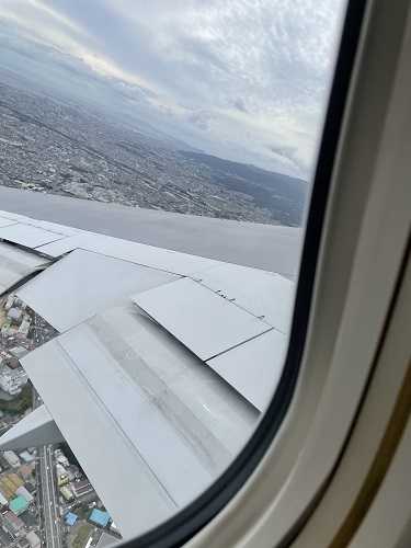 NH26 ITM→HND | ハイネの森 - 楽天ブログ