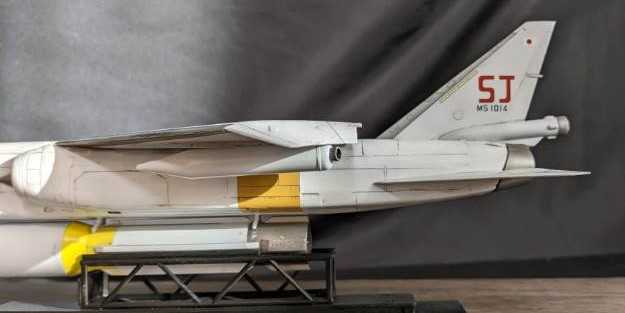 ストラスト・フォー TSR.2MS 4 完成 | Dog's Room - 楽天ブログ