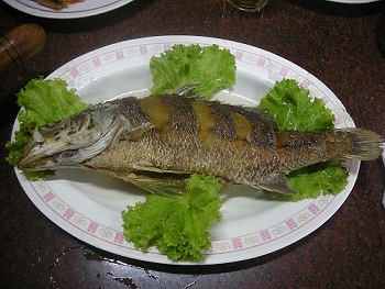 PLA TONG SEA FOOD パタヤで食中毒（T_T） | タイ大好き！ - 楽天ブログ