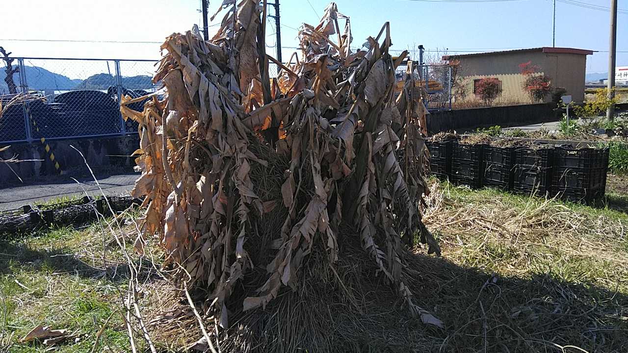 スキゾ逃農記 至善農園精舎 知足 離欲 精進編 | junbenのブログ - 楽天ブログ