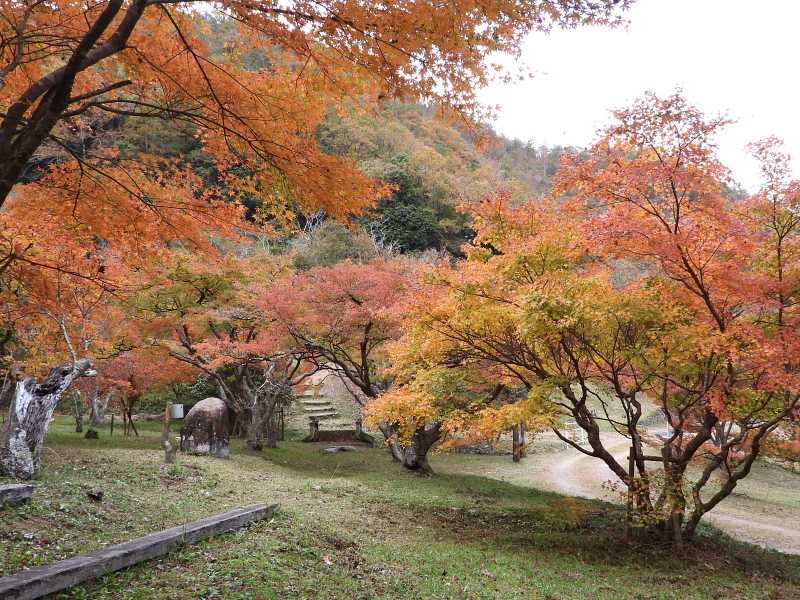 岡山市東区瀬戸 三谷公園散策 動画VTRがあります | てっちゃんのフォトだよりでーブログ - 楽天ブログ