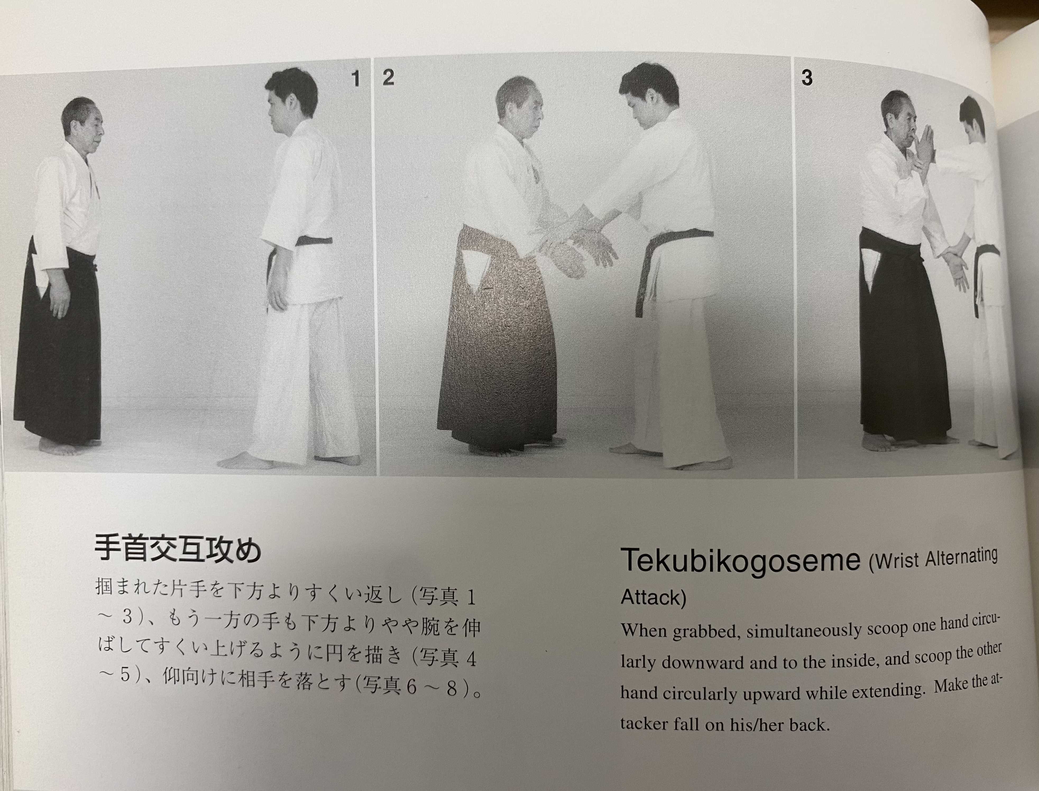 KIHONSHUHOU(Basic Skills) 85 Daitoryu Aikijyujyutsu by Okamoto Seigo ...