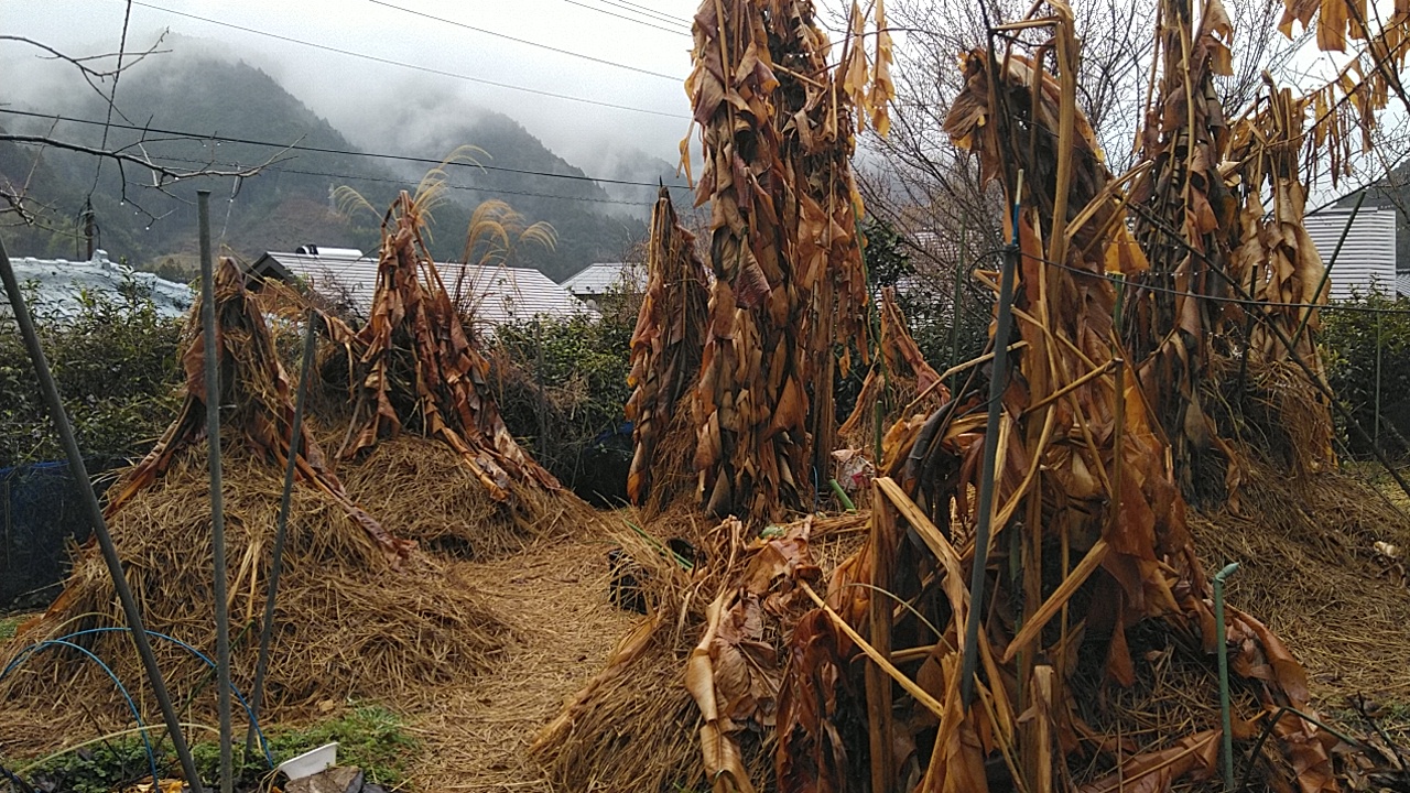スキゾ逃農記 至善農園精舎 知足 離欲 精進編 | junbenのブログ - 楽天ブログ