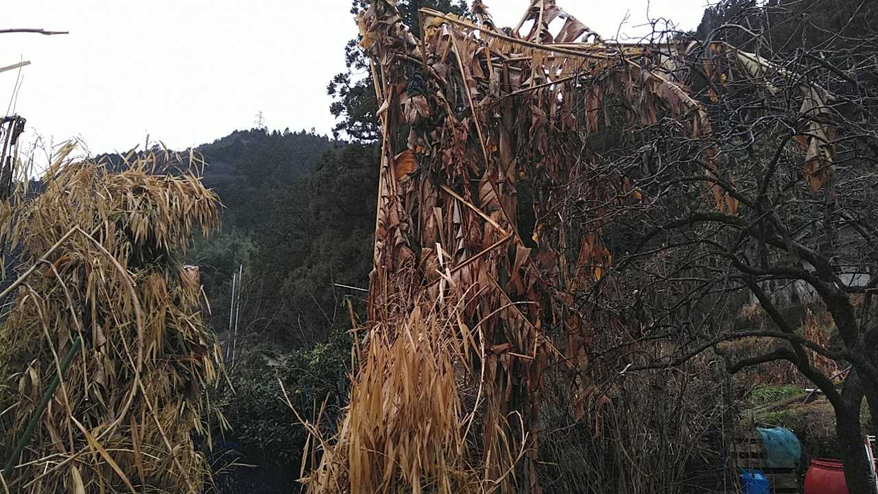スキゾ逃農記 至善農園精舎 知足 離欲 精進編 | junbenのブログ - 楽天ブログ