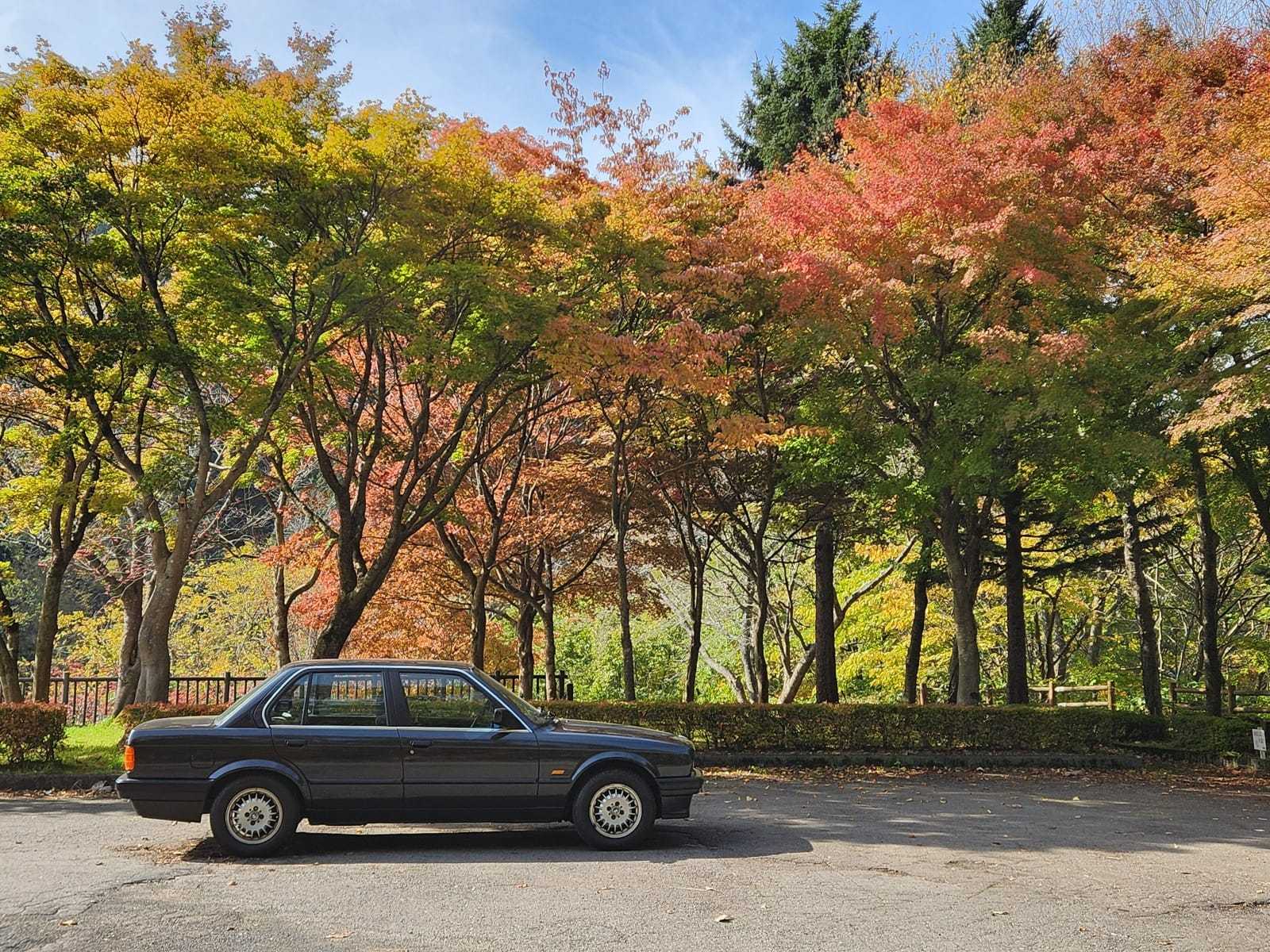 E30 320iAT → 2002MT | BMW2002 E21 E30 - 楽天ブログ