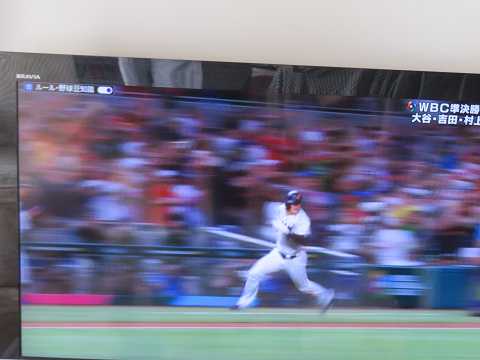 WBC2023 日本xﾒｷｼｺ（TV） | 星とカワセミ好きのブログ - 楽天ブログ