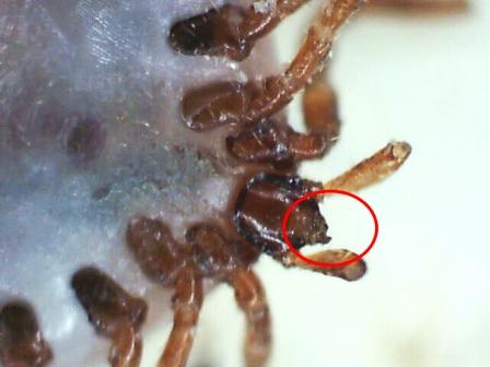 [ クモ ] | 里山日記 長岡寺泊から - 楽天ブログ