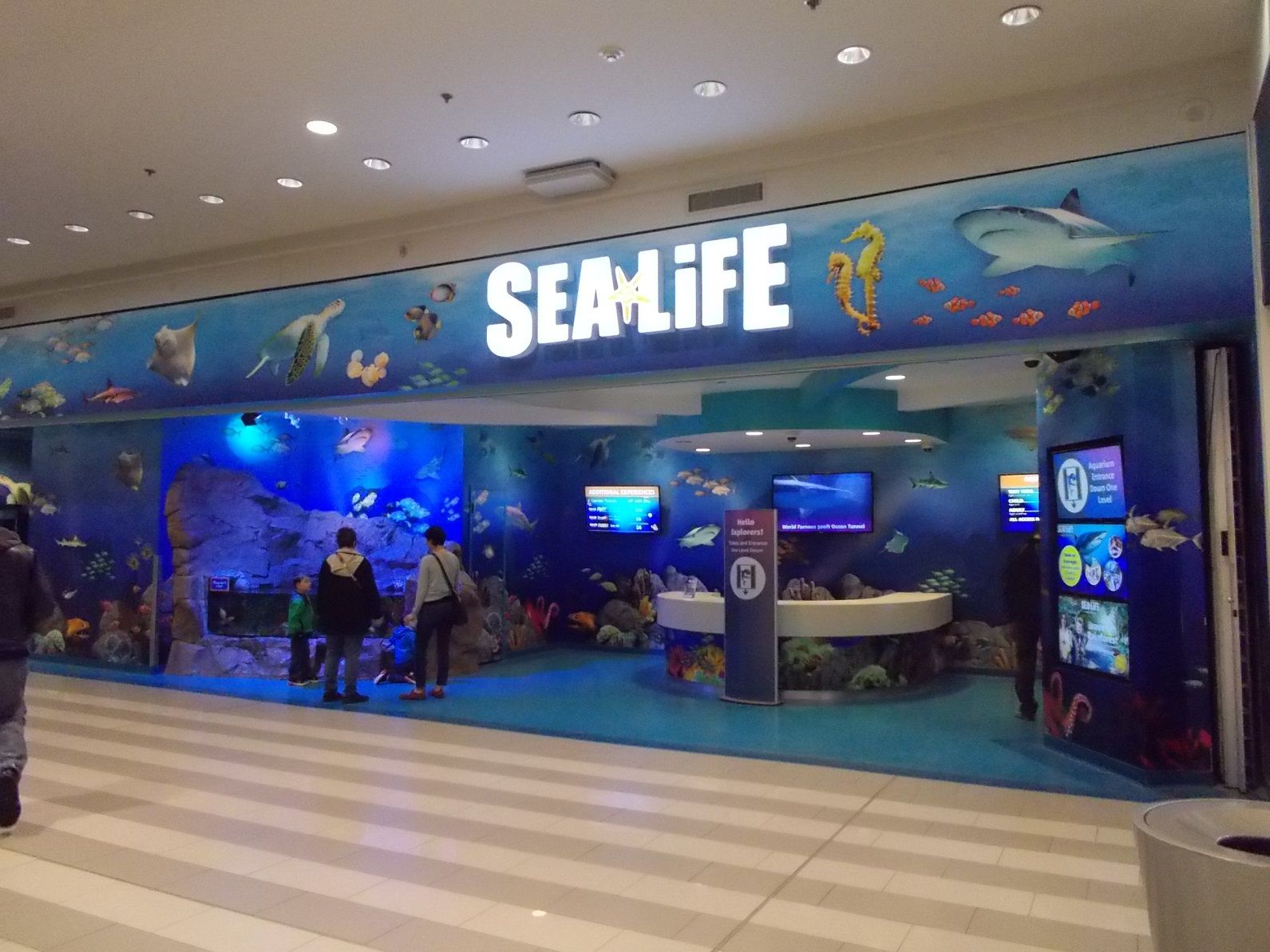 モール オブ アメリカ シーライフ ミネソタ ＆ アクアリウム2019.4.17 MALL OF AMERICA SEA LIFE ...