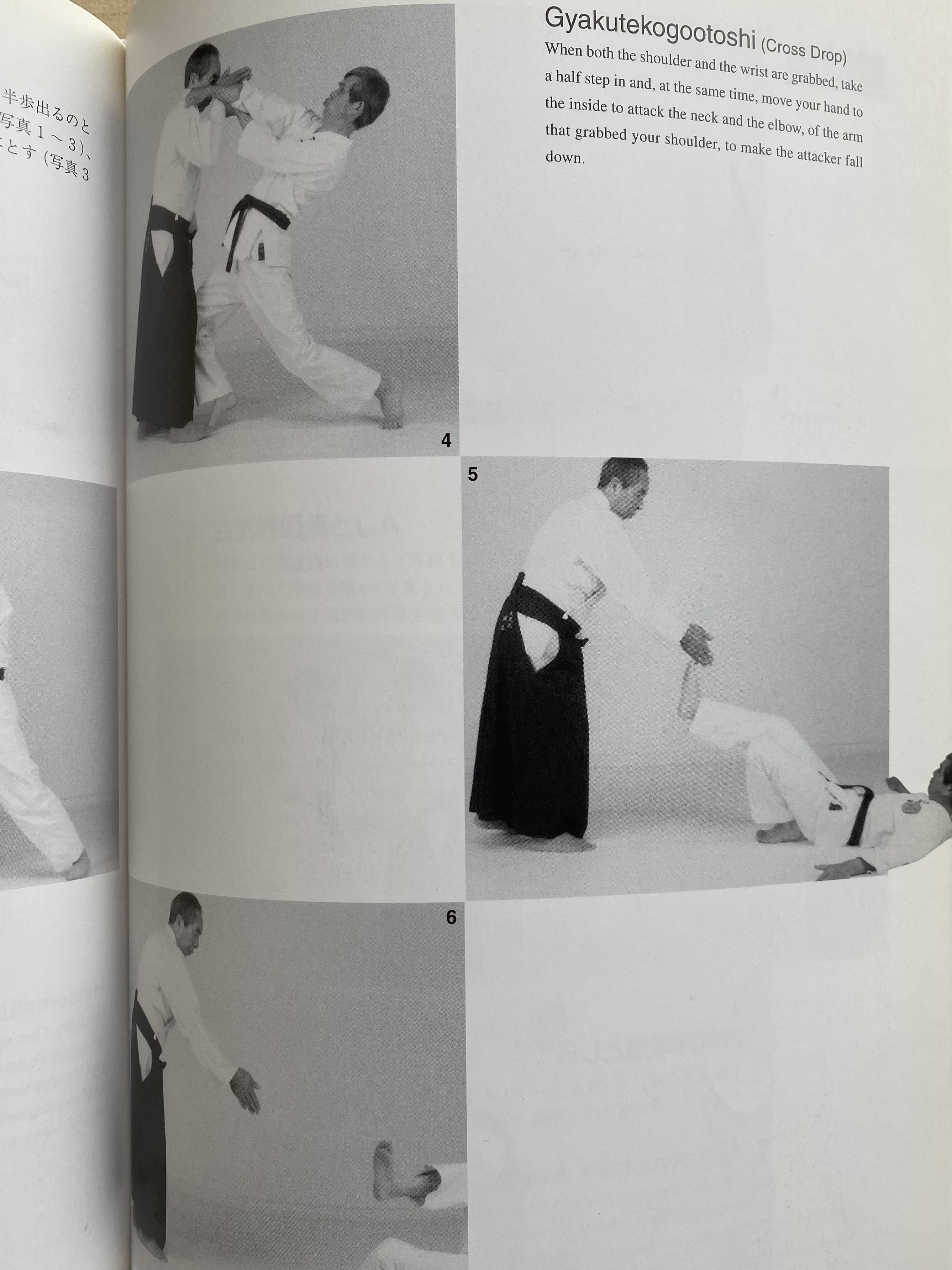 KIHONSHUHOU(Basic Skills) 106 Daitoryu Aikijyujyutsu by Okamoto Seigo ...